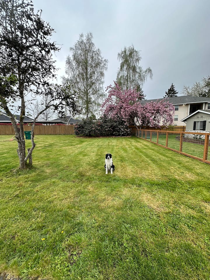 "Peace Of Portland" - Wine Country, Newberg/dundee - Dundee