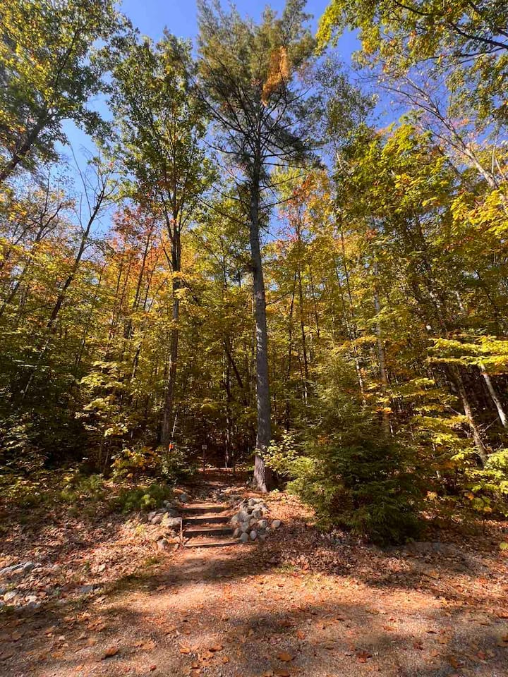 1 Bed Apt, Right Next To Pleasant M. Hiking Trails - 덴마크