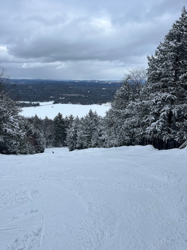 1b. Apt, Next To Plsnt. M.(shawnee P.) Ski Trails - デンマーク, ME