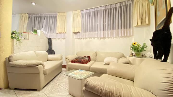 Habitación Con Baño Privado - Arequipa