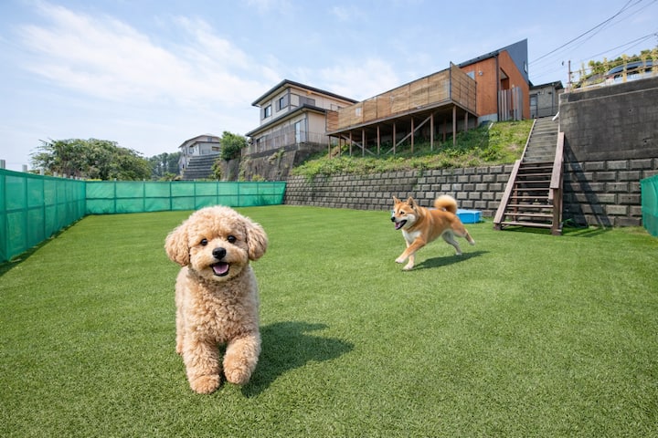 プライベートサウナとドッグランのある家｜愛犬ノーリードOkのドッグラン付き一棟貸し - 土浦市