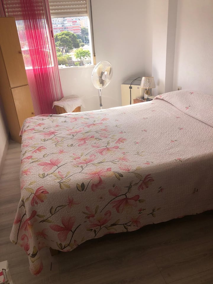 Habitación Con Baño Privado - Alicante