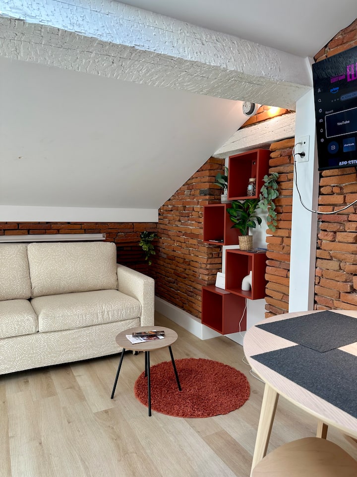 Hypercentre, Wifi  Capitole  Air Conditioning & Charm - Toulouse