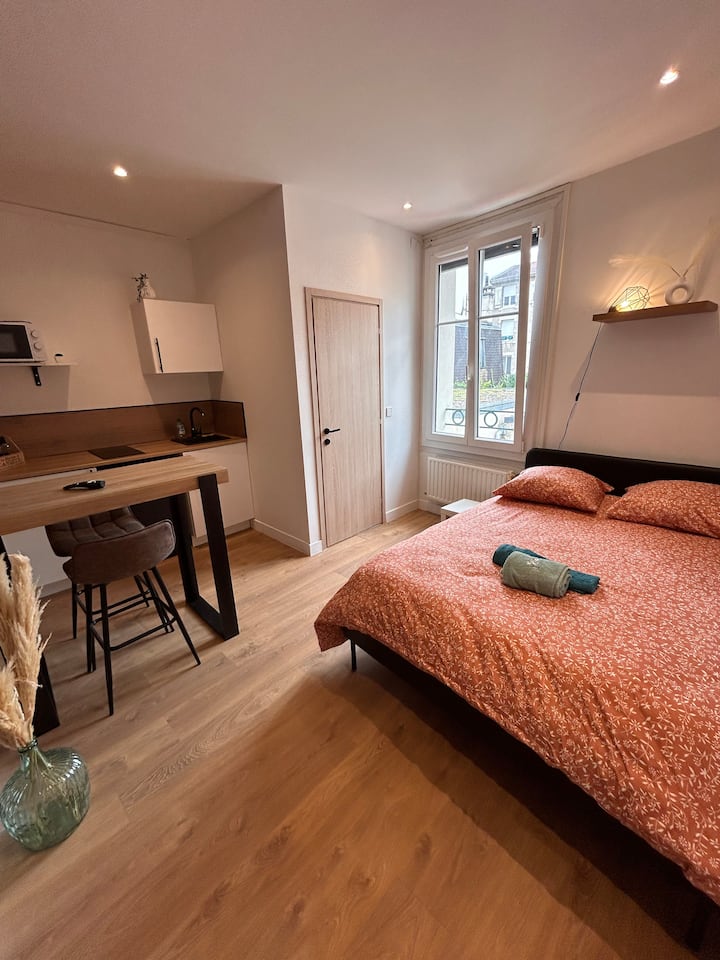 Studio Tranquille Proche Blandan à Nancy - Nancy