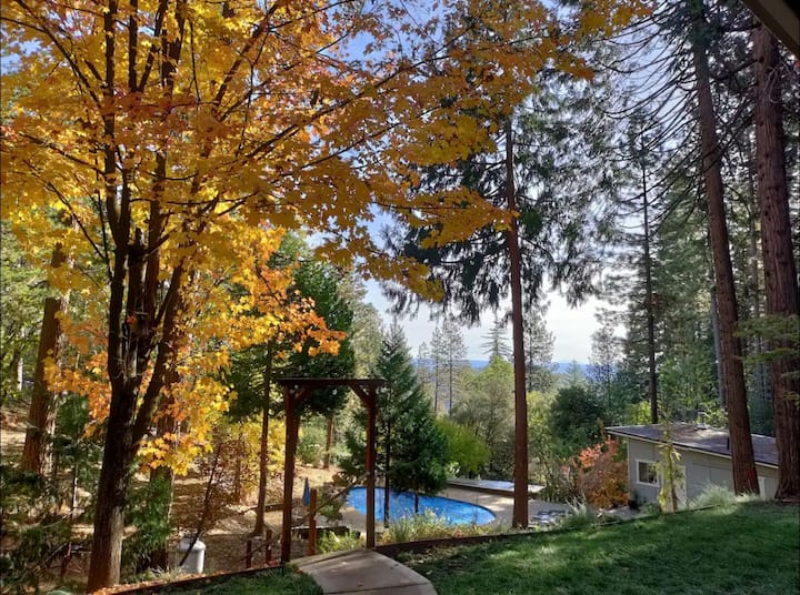 Forest Studio W/ Pool & Mountain Views - Grass Valley, CA