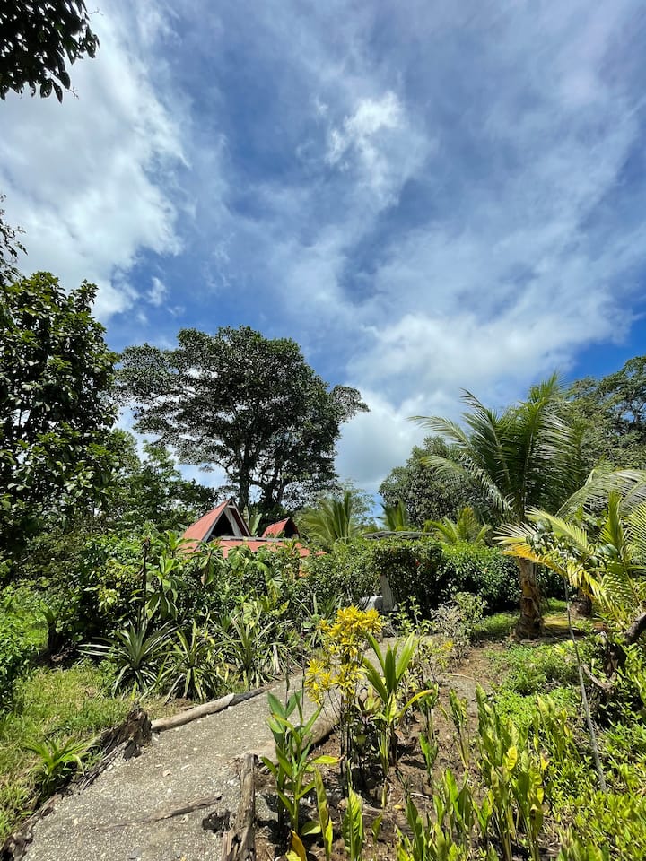 Cabaña Privada Con Vista Al Mar - Colombie