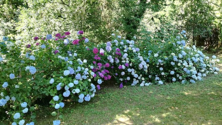 Villa Toscane Avec Jardin & Bbq Entre Forêt Et Mer - Italien