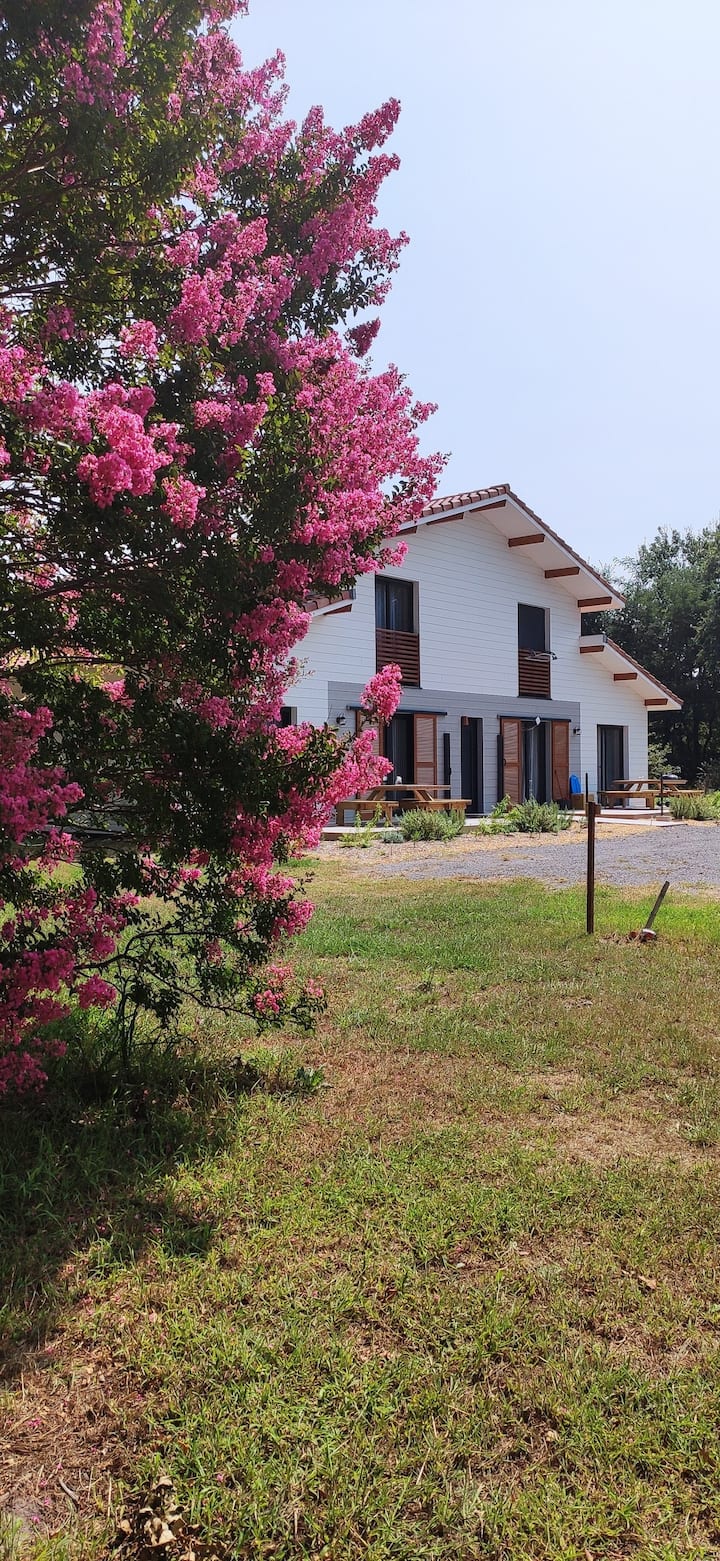 ÉCrin De Tranquillité à L'orée Du Bois-appartement - Bénesse-Maremne