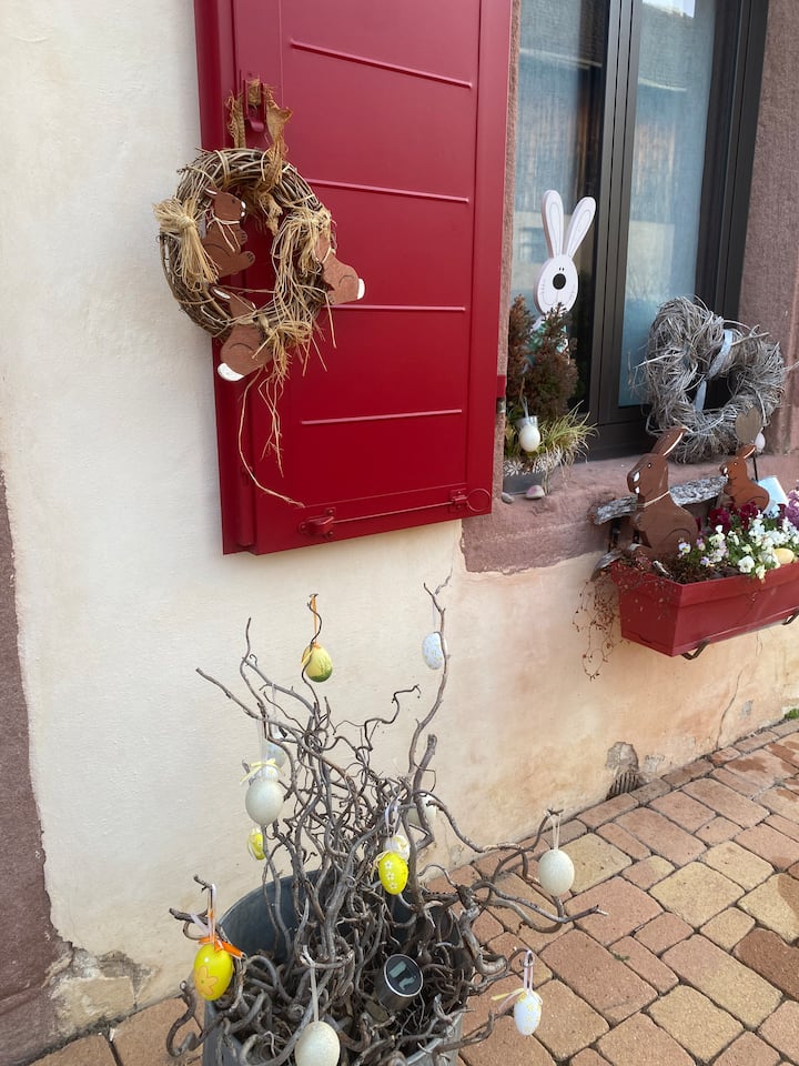 Gîte De Caractère, Neige, Ski & Visites - Le Parc du Petit Prince