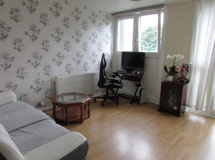 Fully Furnished 2 Bedroom Flat In City Centre - Ibrox Stadium