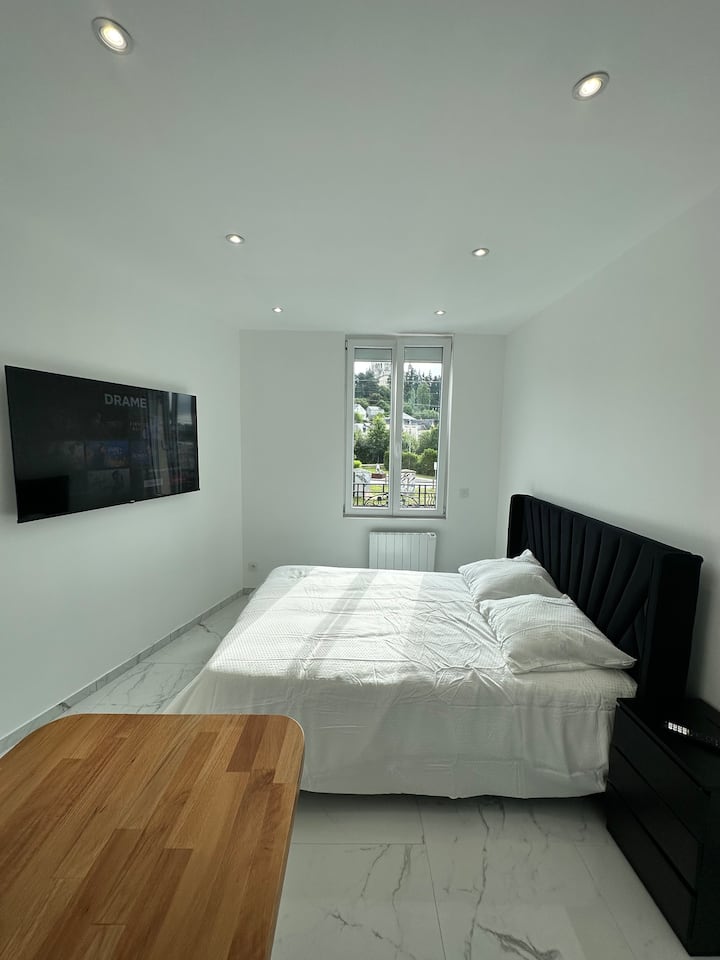Appartement (3) Vue Basilique/100m Gare/ Netflix - Lisieux