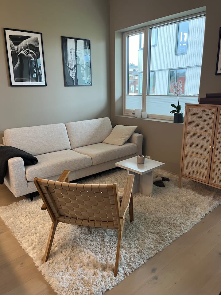 Sentrumsnær Leilighet - Stavanger