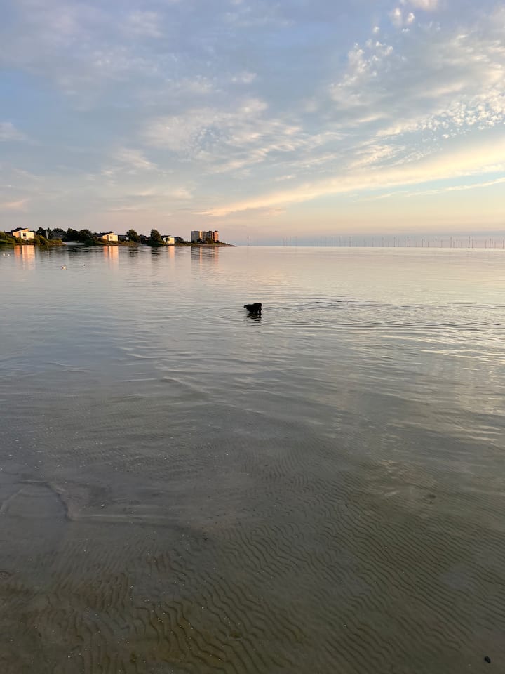 Direct Aan Het Strand Van Makkum Beach - Makkum