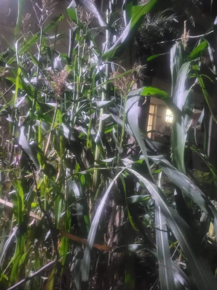 Spacious 2 Bedroom Apartment - Éthiopie