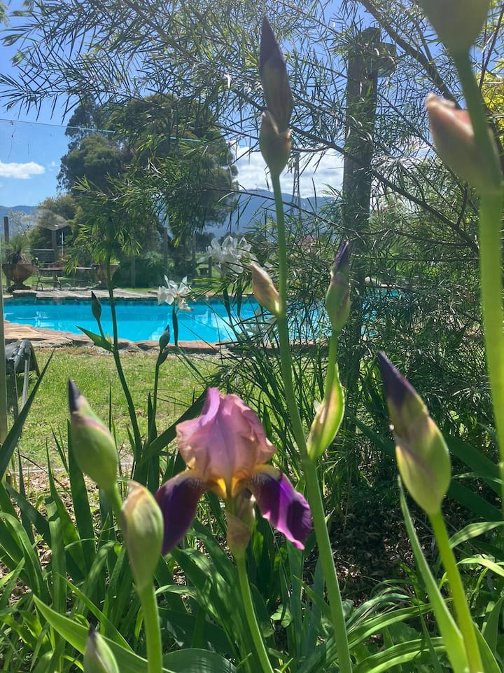 6 Bedroom Tree Gardens Near Bright | Hottub | Pool - Bright