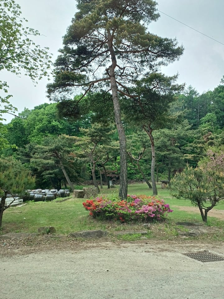솔과황토/20인가능/애견불가/숯ㆍ항아리바베큐/수영장/계곡/불멍 - Daejeon