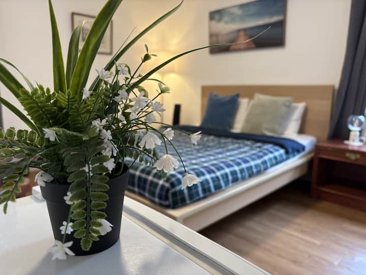 Romantic Plateau Mont-royal Escape • Studio • 1bd - Montreal