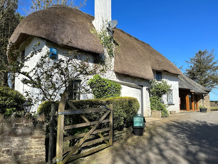 Thatched Cottage In Clovelly - Clovelly