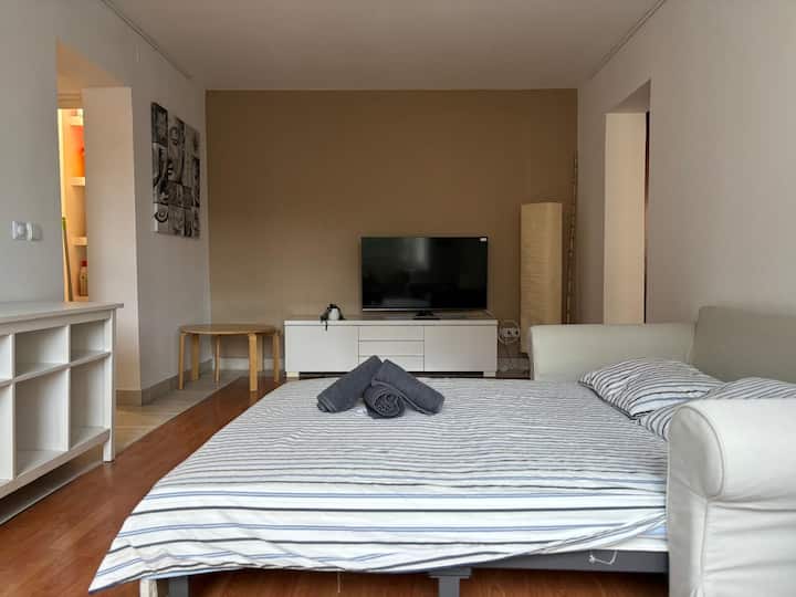 Central Elegant Apartament - Timișoara