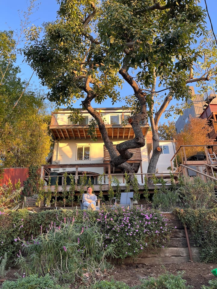 Silverlake Bungalow W Dream View - Silver Lake, CA