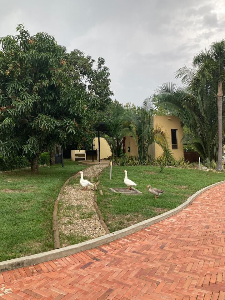 Casa Campestre En Anapoima - Apulo