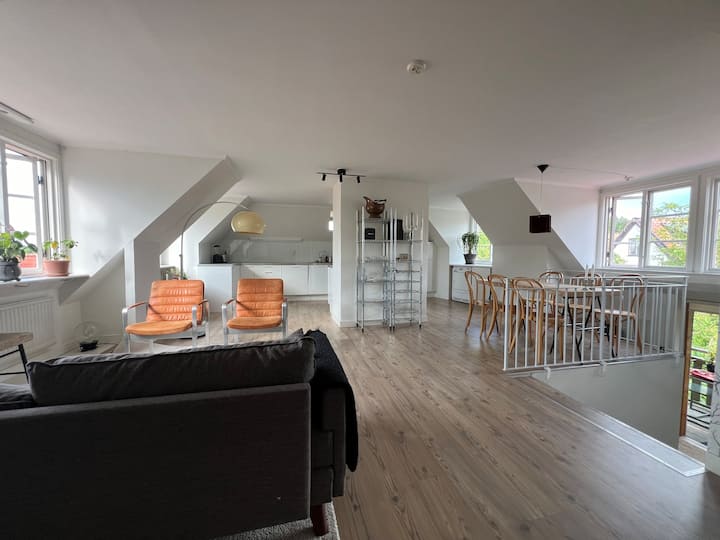 Next To Botanical Garden - Visby