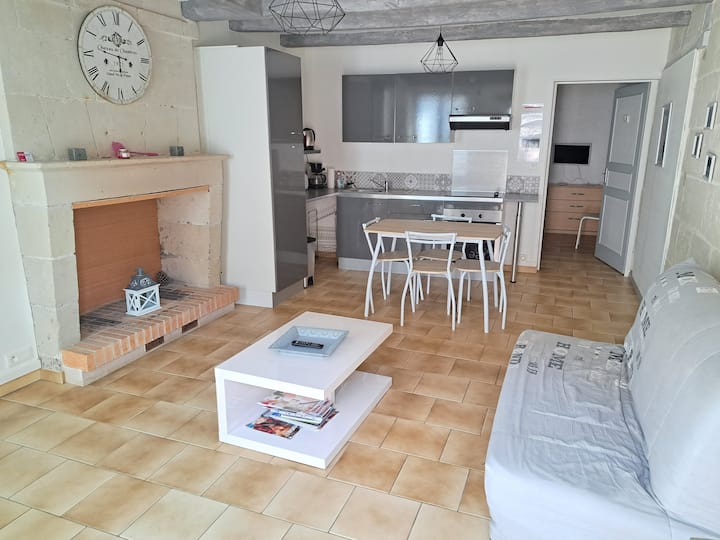 Maison Idéale Pour Curistes - La Roche-Posay