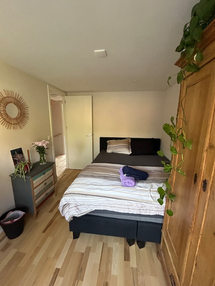 Lovely & Quite Room Near Center With Green View -1 - Amsterdam