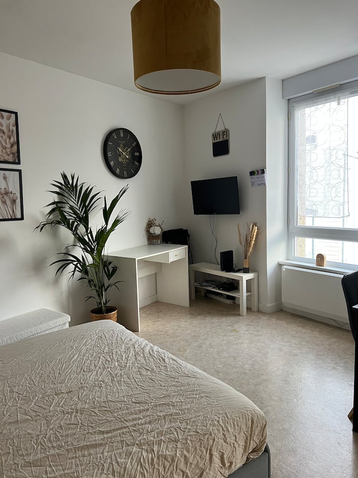 Grand Studio Centre-ville - Gare de Brest
