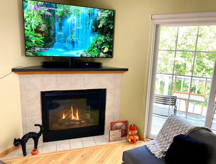 Sunny Retreat With Fireplace Steps From The Beach - Portage, IN