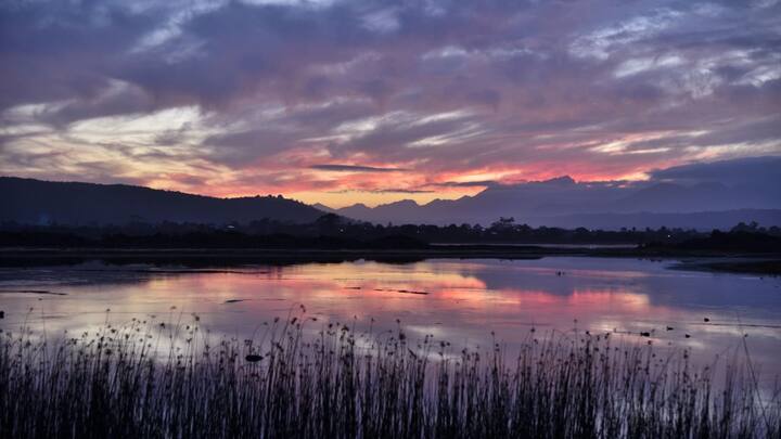 Holiday Home In Sedgefield - Sedgefield