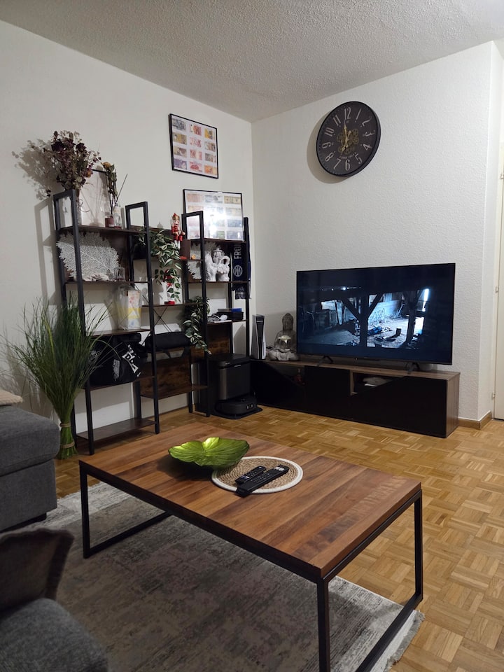 Entire Apartment In City Center With All Comforts - Genf