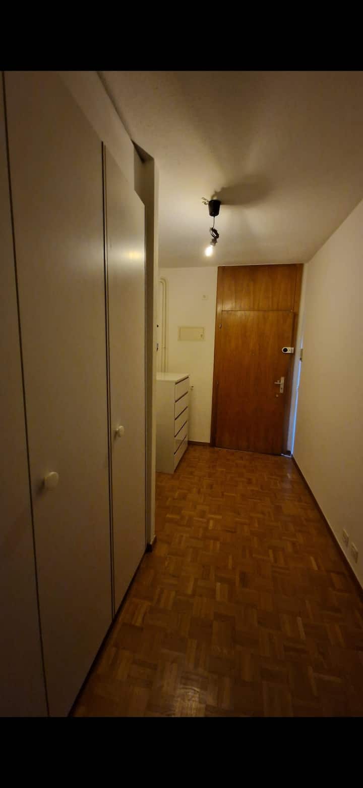 Entire Apartment In City Center With All Comforts - Genève