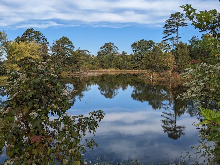 The Cozy Up On Lake Mimosa - Clarksville, AR
