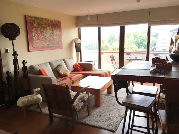 Excelente Departamento, Buena Ubicación - Pucon