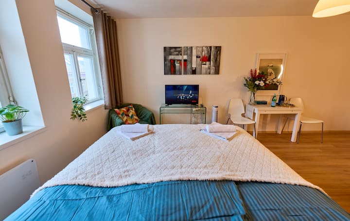 Sunny And Spacious Nice Flat For 2-4 People - Praga