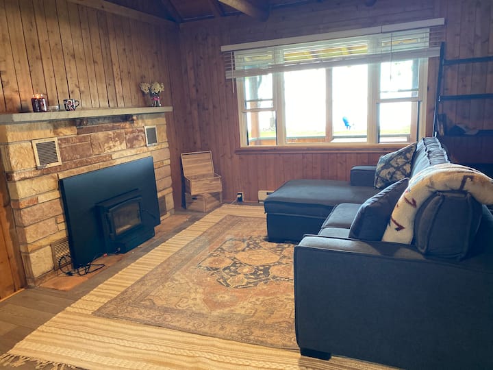 The Bear Cabin - Mullett Lake, MI