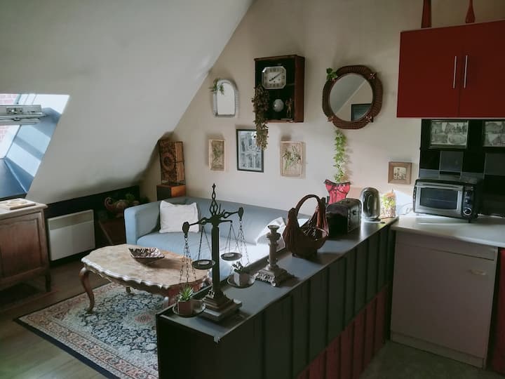 Chambre Dans Hypercentre A 2 Pas De La Gare - Lille