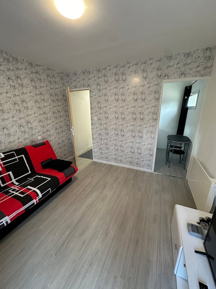 Loue Charmant Studio - Le Puy