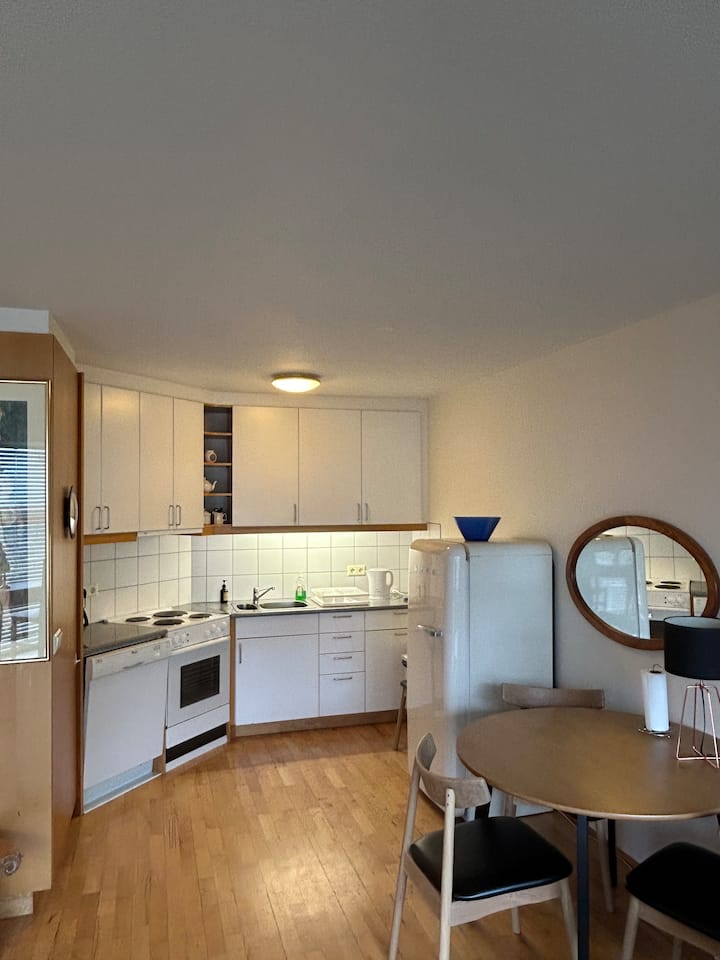 Cozy With Balcony And Parking - Reykjavik