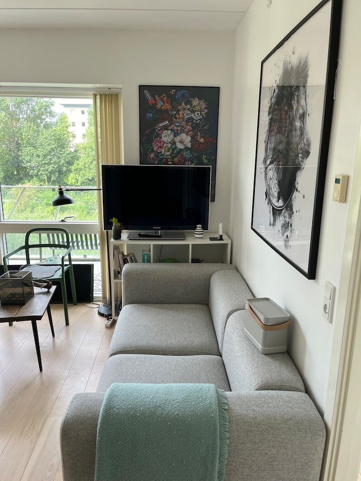 Lejlighed I Aarhus Centrum - Aarhus
