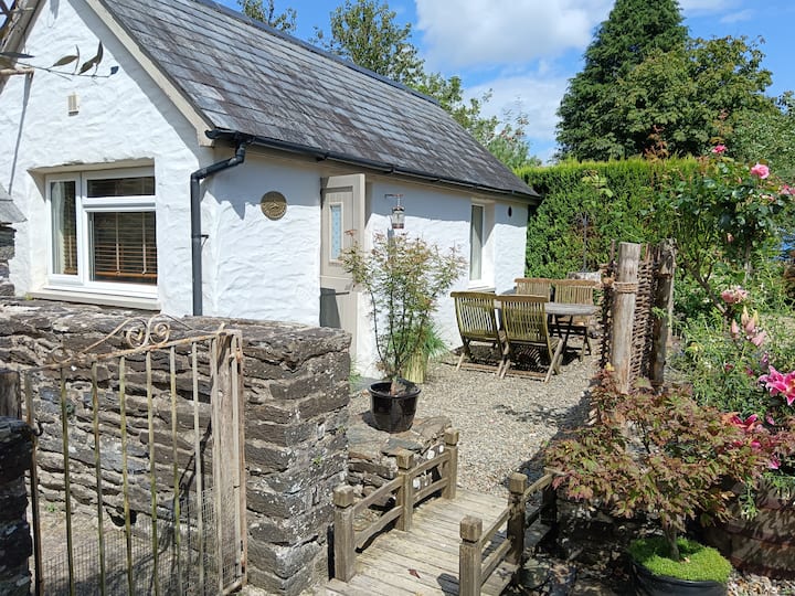 Blaenfforest Aviary Studio - Pembrokeshire