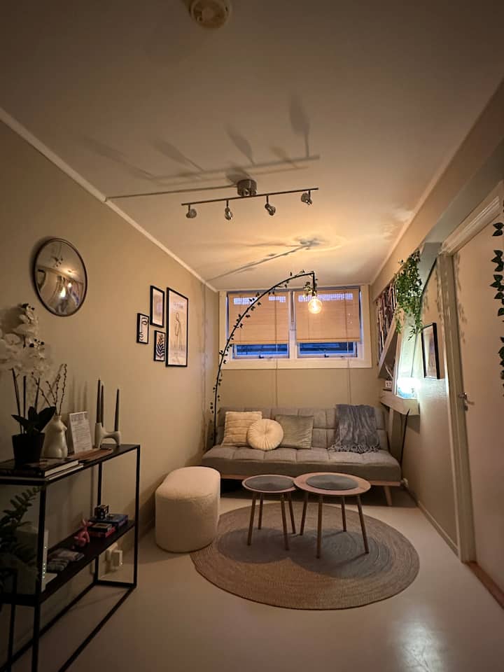 Studio Apartment In Central Oslo - オスロ