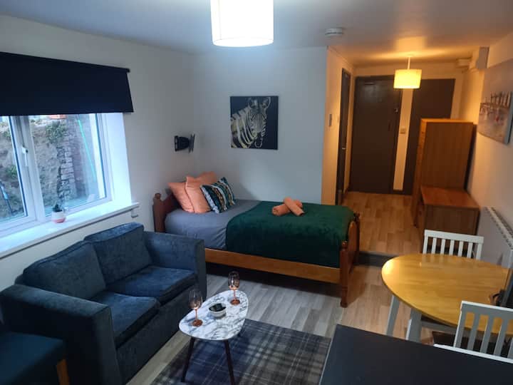 Cosy Garden Flat Near Bay & City Centre - Cardiff