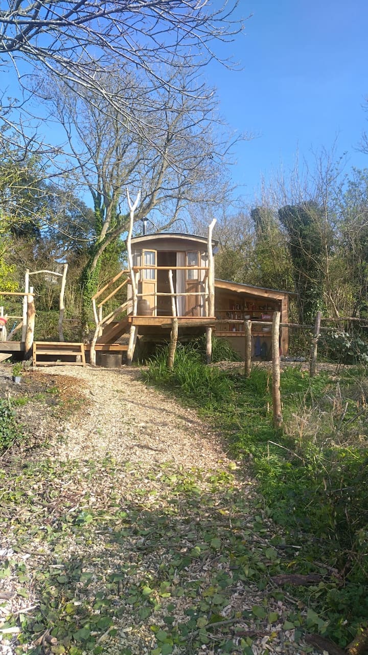 Nettlecombe Hut - Bridport