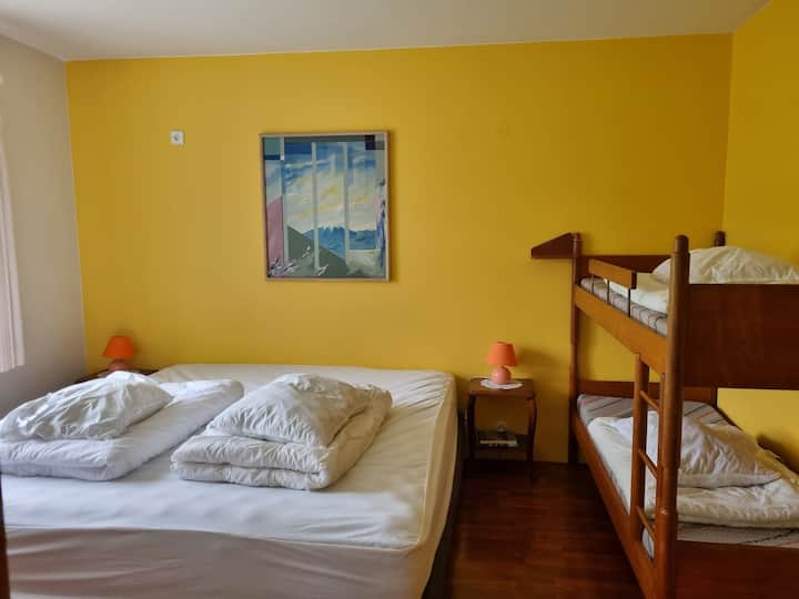 Low Price, Self Cleaning - Islande