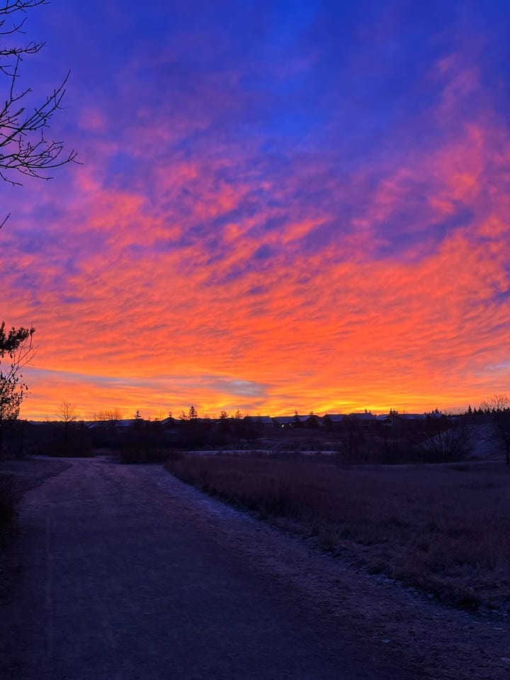 Lakeview Oasis - Saskatoon