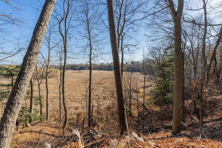 Bright Lower Level Apartment - Pickering