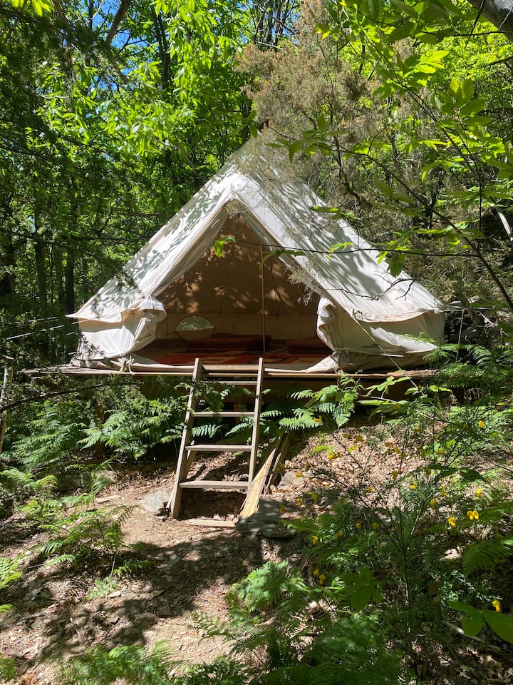 Tente Tipi D'étape En Forêt - Ardèche