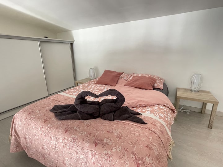 Le Zèbre Un Séjour à Part - Amnéville
